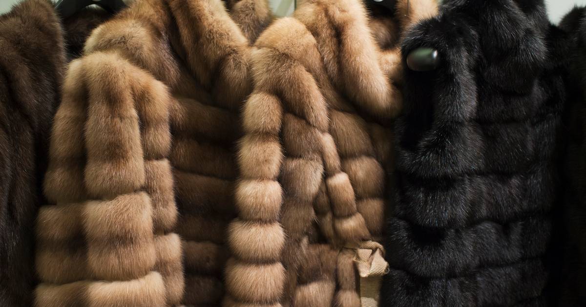Amerikansk stat forbyder pels