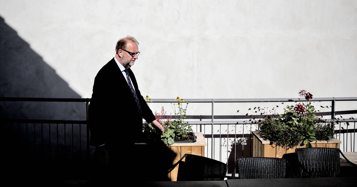 Regeringen samler det danske gasnet i ét selskab