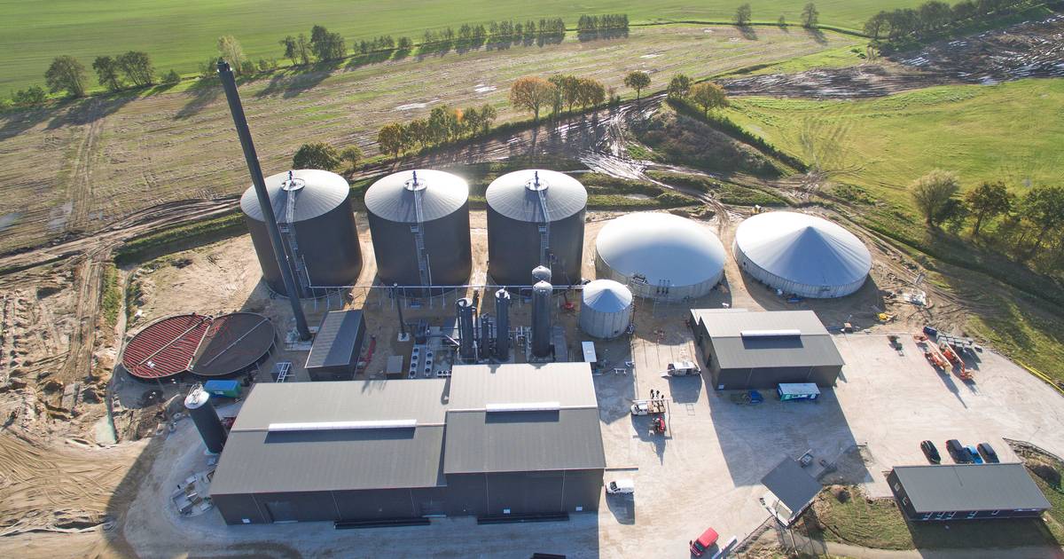 Shell køber danske Nature Energy for 14,3 mia. kr. - Finans